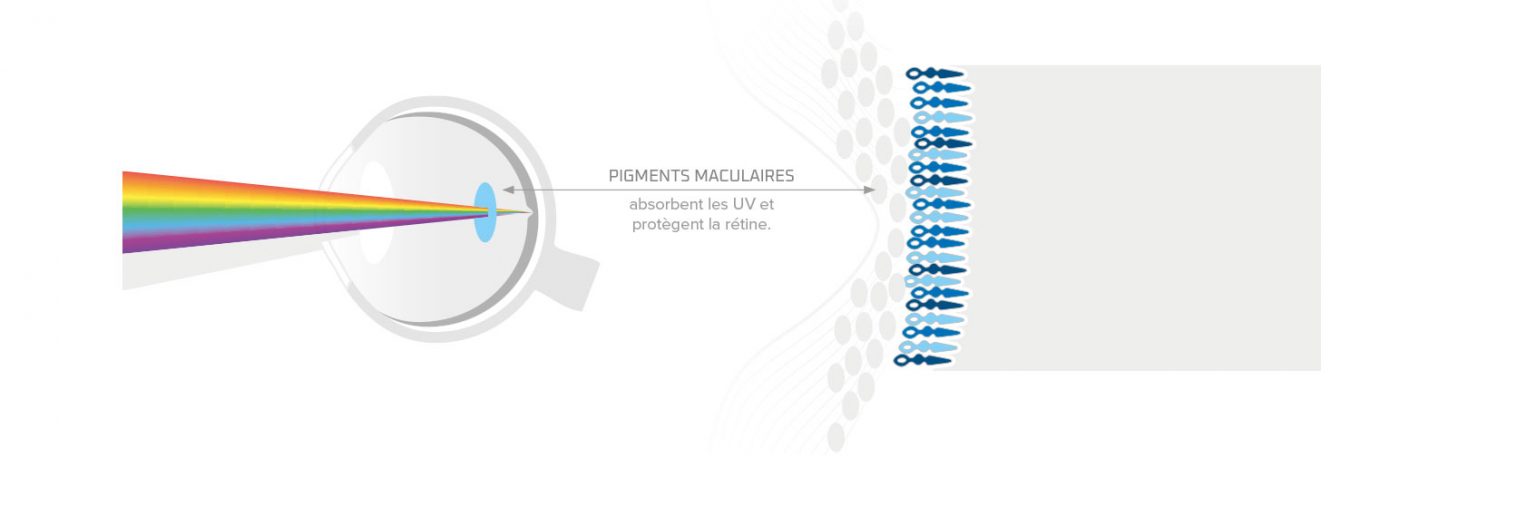 MP-Eye – Novacel Optical